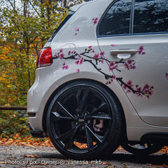 Realistic Sakura Tree Livery – Spinnywhoosh Graphics