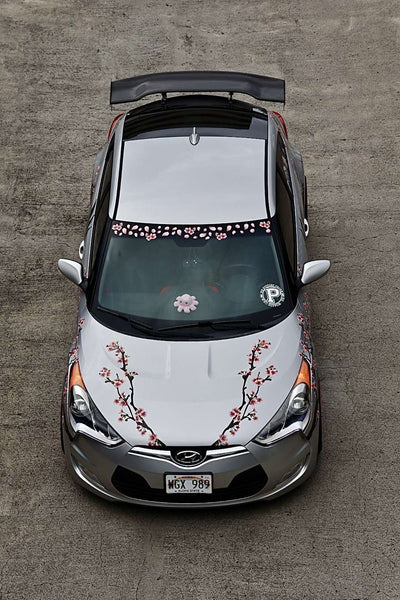 Flaming Dragon XL Livery | Spinnywhoosh Graphics