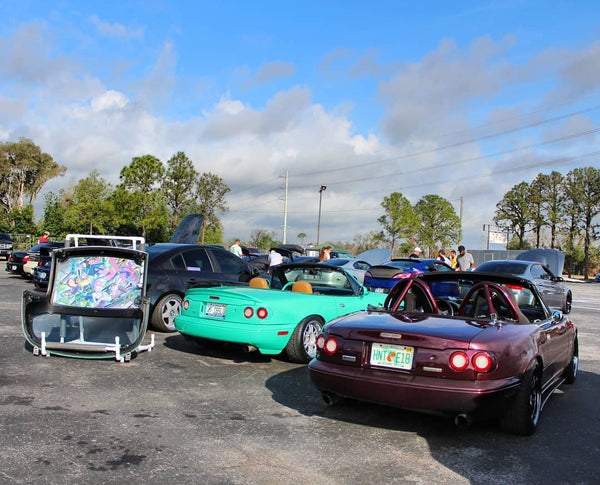 Custom Printed Miata Hardtop Headliner | Spinnywhoosh Graphics