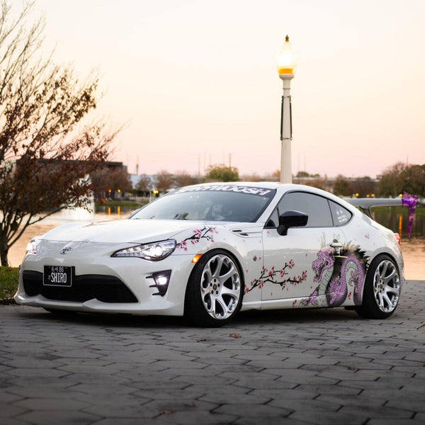 Custom Dragon Livery | Spinnywhoosh Graphics