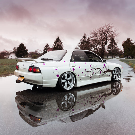 Special Collection - Sakura Collection – Spinnywhoosh Graphics