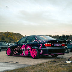 Custom Dragon Livery – Spinnywhoosh Graphics