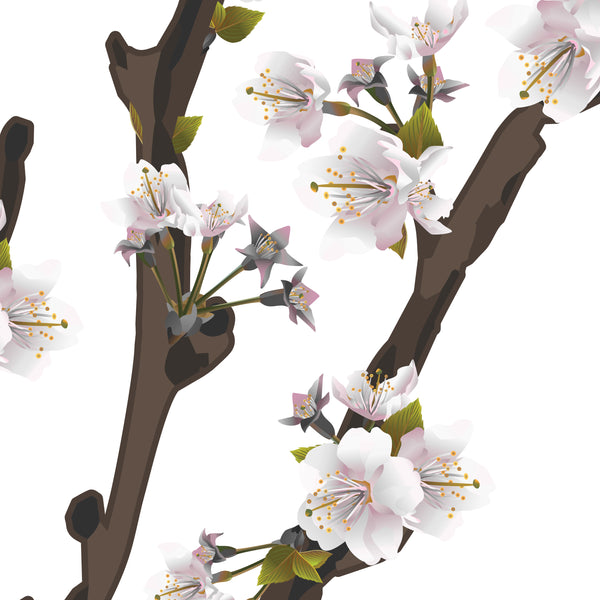 Realistic Sakura Tree Livery | Spinnywhoosh Graphics